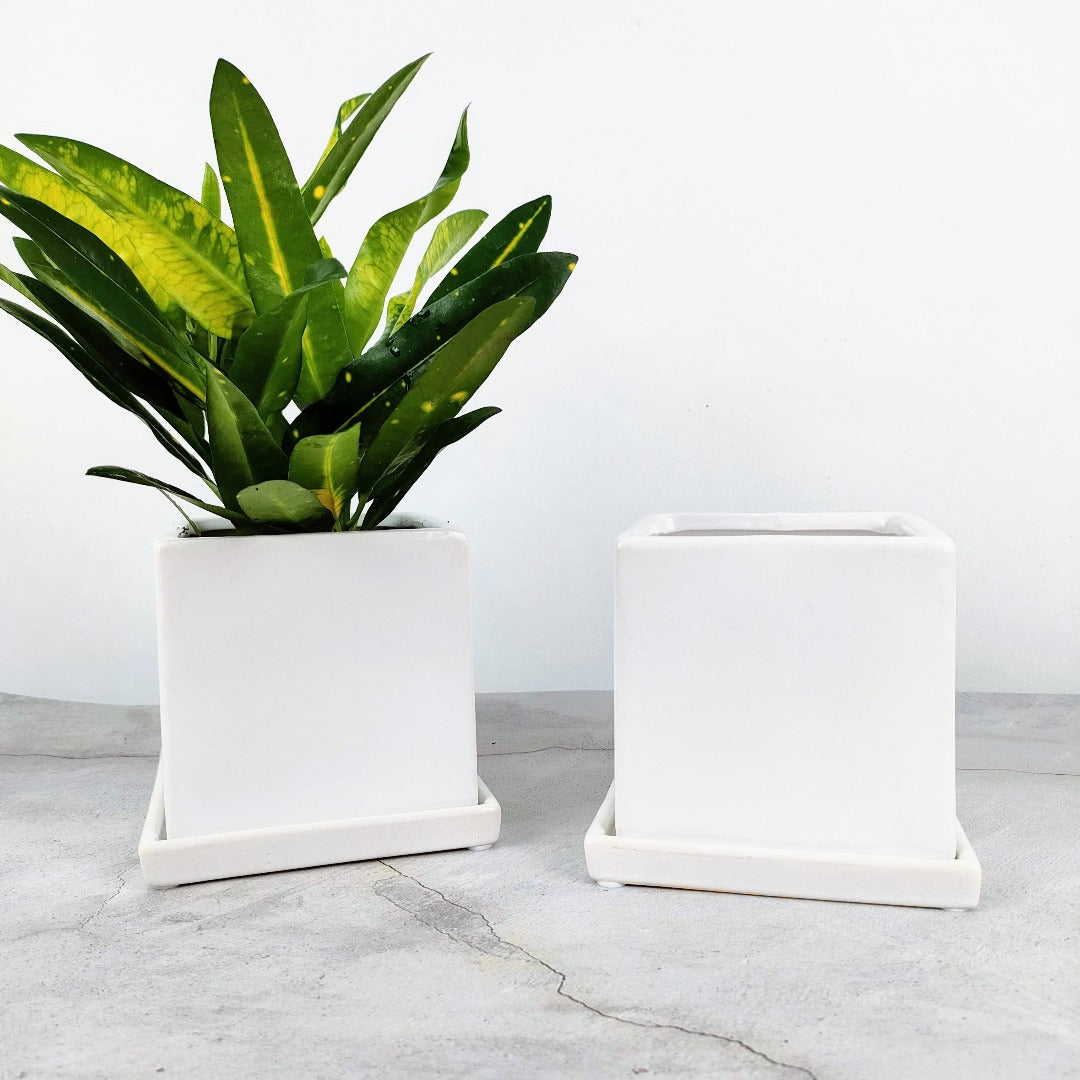 Vaso Cubo Modern piccolo – Garden Battistini